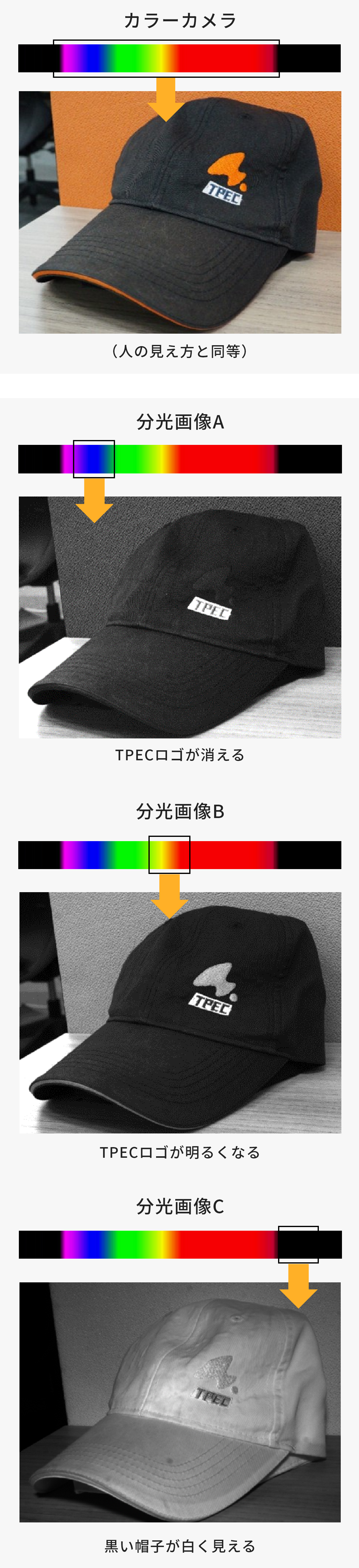 【技術開発分野】次世代技術の開発｜TPECの役割｜デジタル生産技術のトヨタプロダクションエンジニアリング（TPEC）